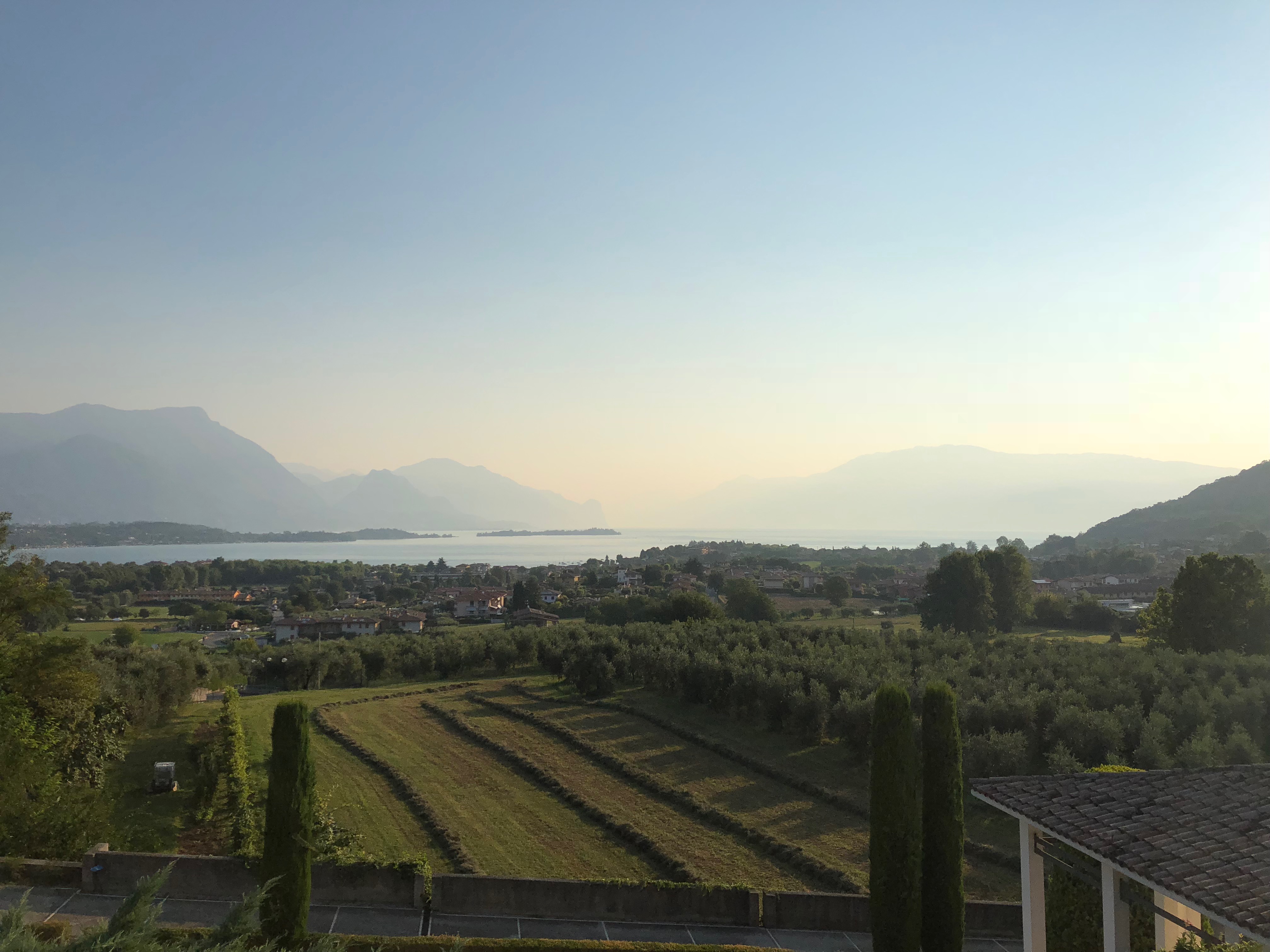 Grow Into A Life That Fitz – Moving You Forward